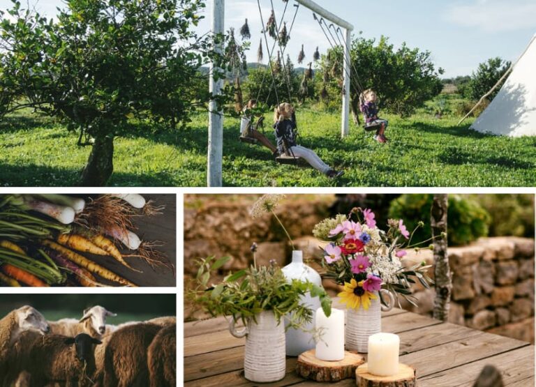 Top 5 Eco Farmhouse Restaurants | Ibiza