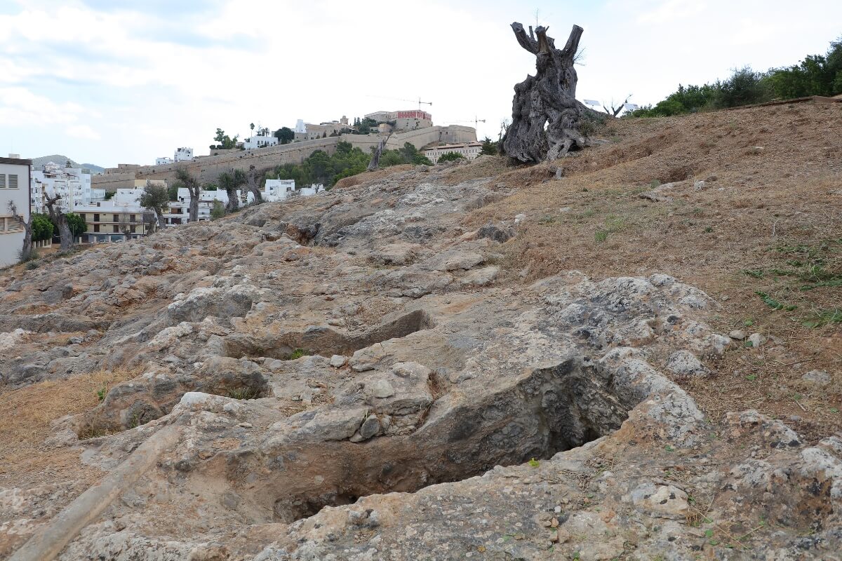 Museu Puig Molin: Discover Ibiza's Rich History